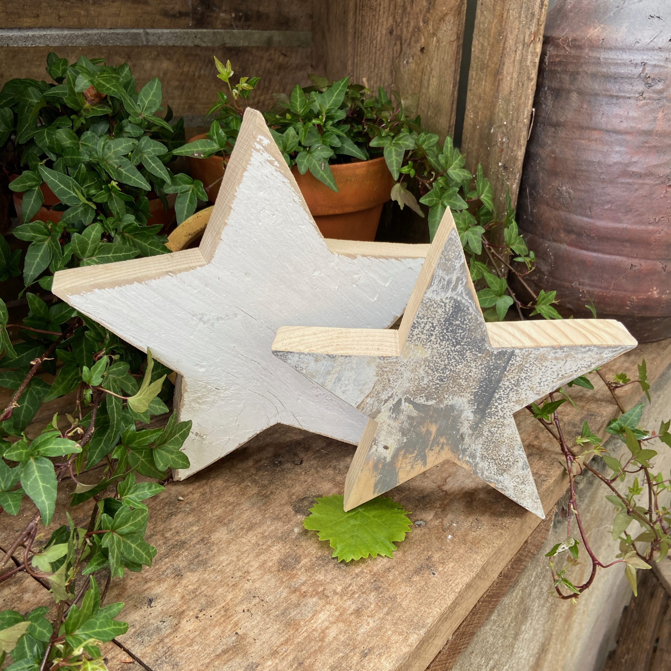 Standing Star - Woodshed Living